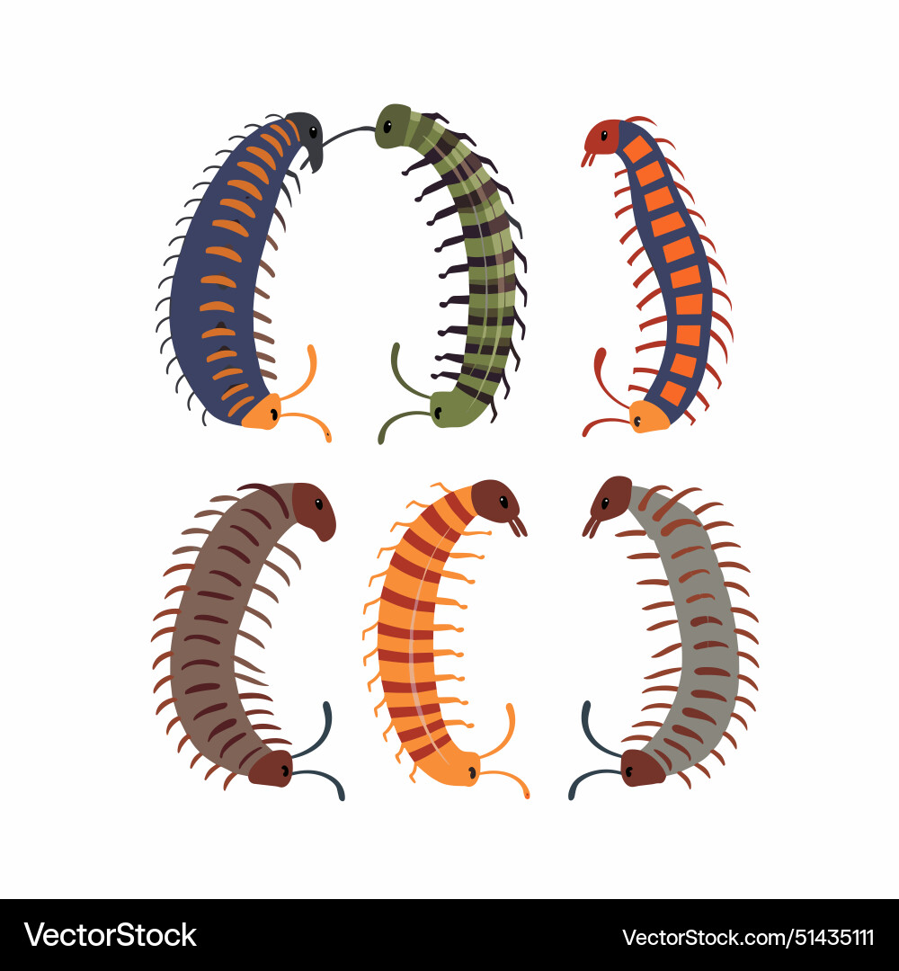 Colorful centipedes cartoon characters Royalty Free Vector