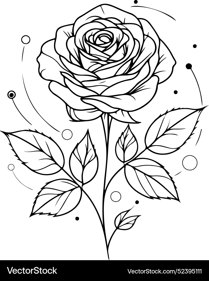 Flower line art Royalty Free Vector Image - VectorStock
