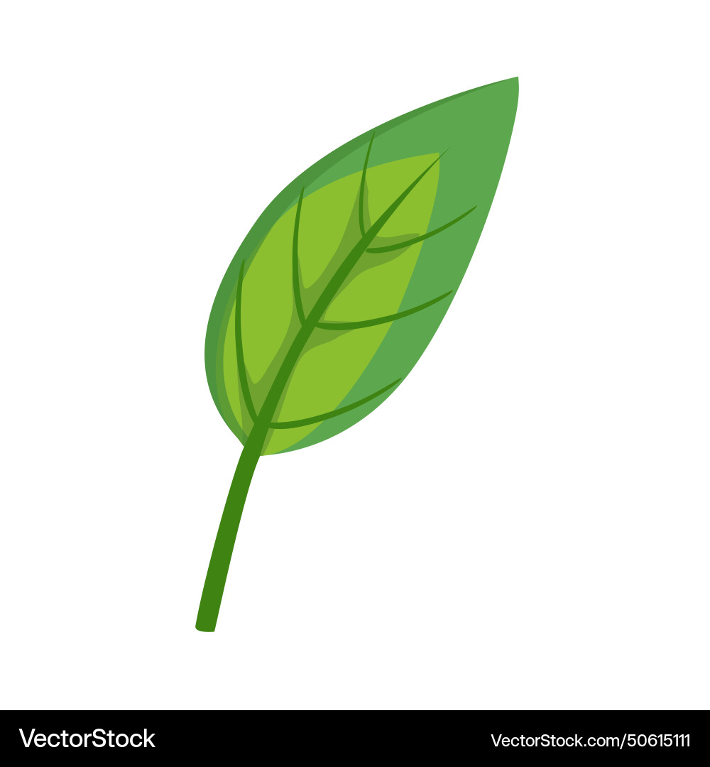 Leaf ecology concept Royalty Free Vector Image