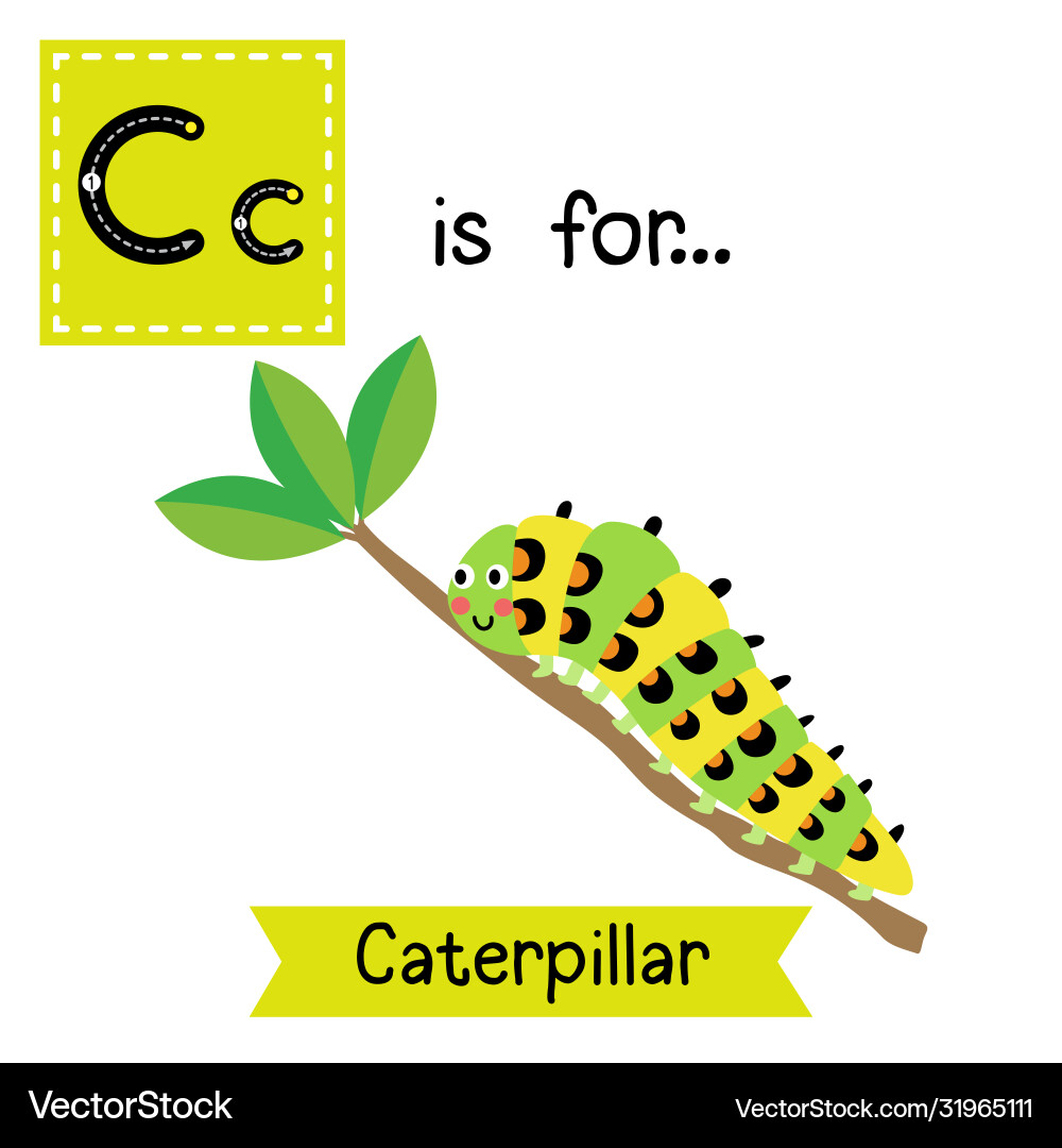 Letter c tracing caterpillar crawling Royalty Free Vector