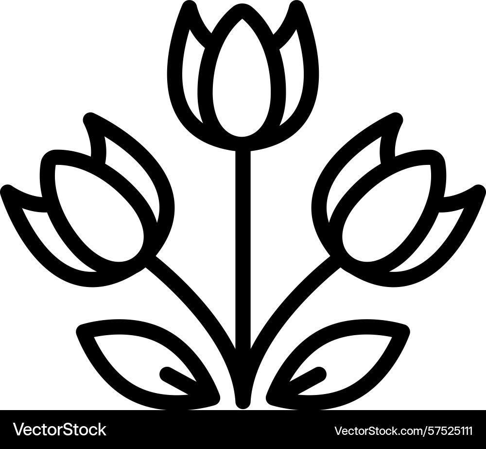 Tulip Royalty Free Vector Image - VectorStock