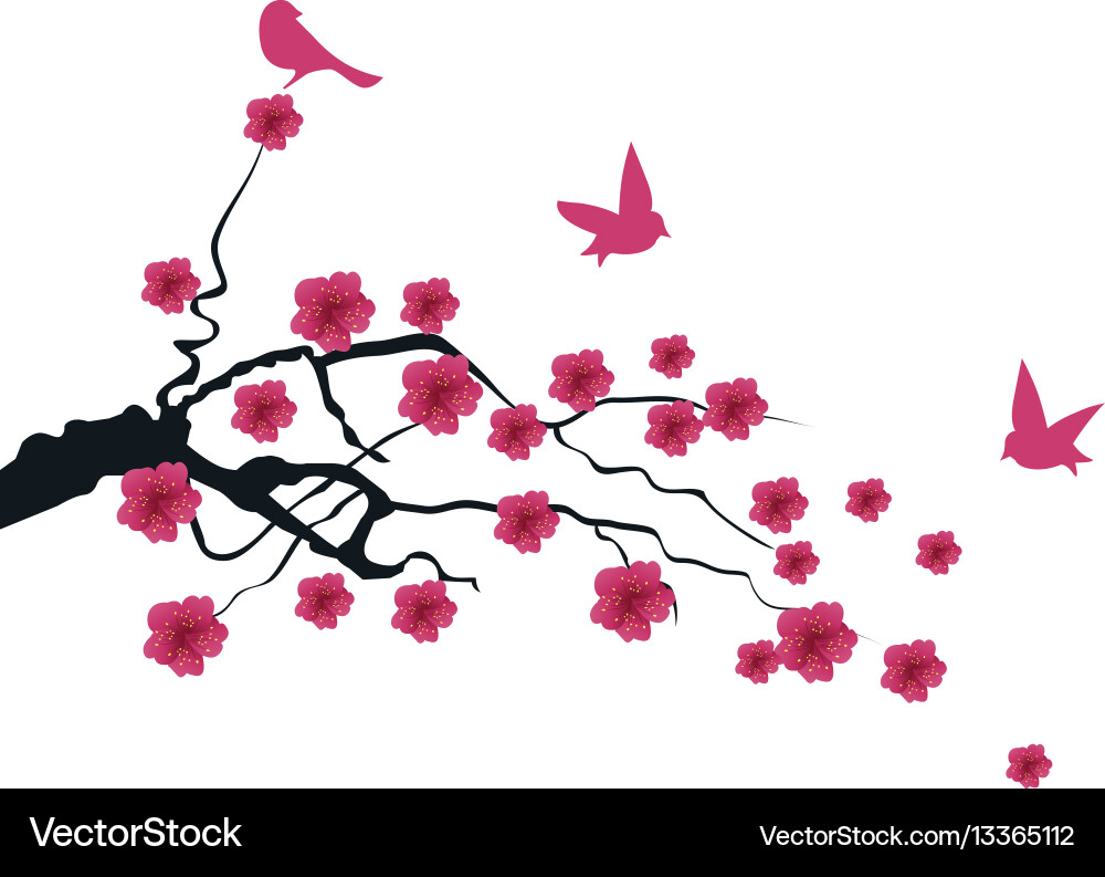 Cherry Blossom Branch Royalty Free Vector Image