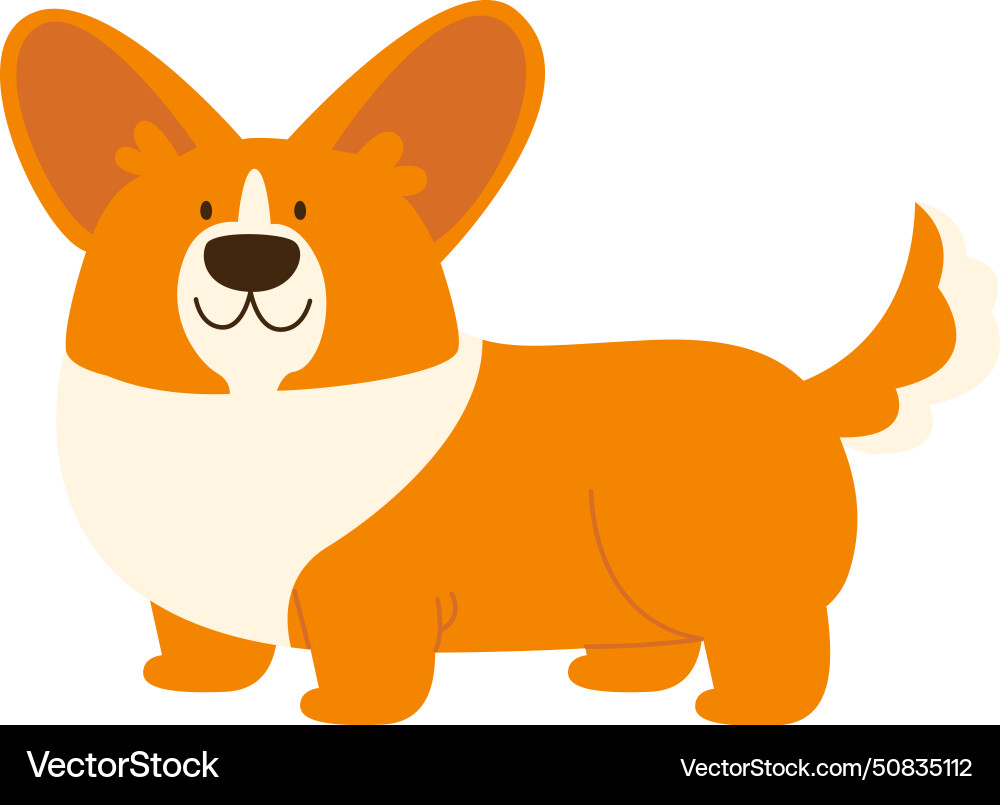 Corgi dog standing Royalty Free Vector Image - VectorStock