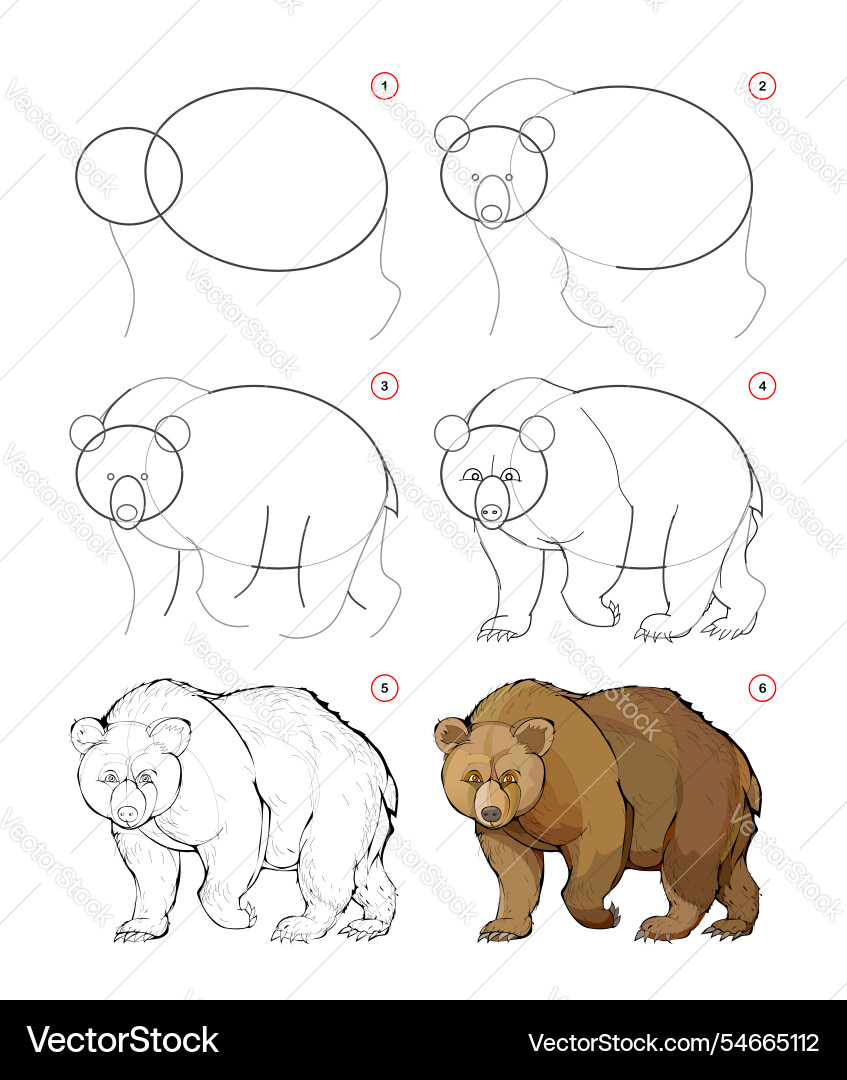 How to draw a cute bear educational page Vector Image