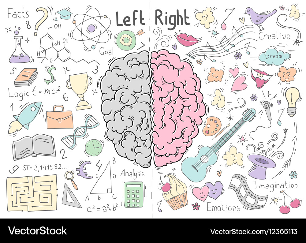 Concept of the human brain Royalty Free Vector Image