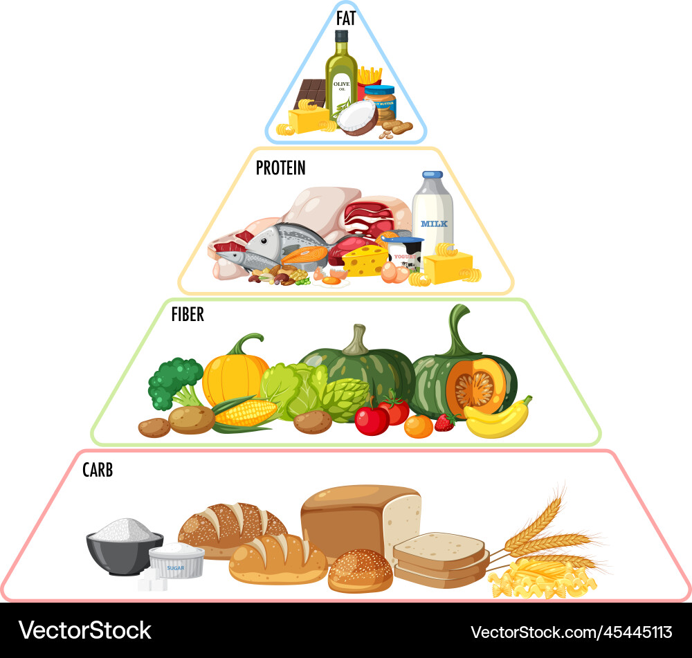 Food Groups Pyramid