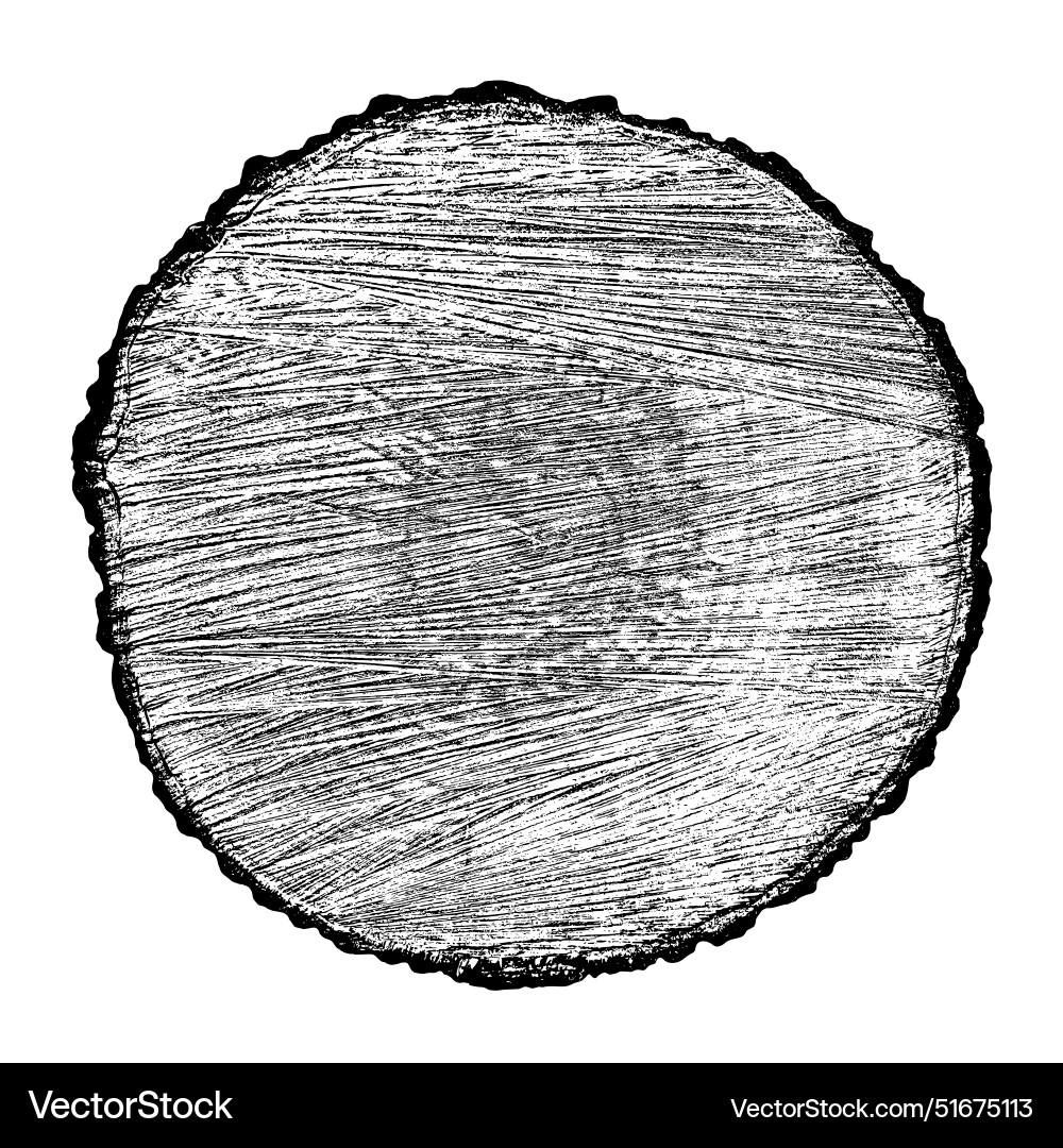 Wood texture cross section of tree rings Vector Image