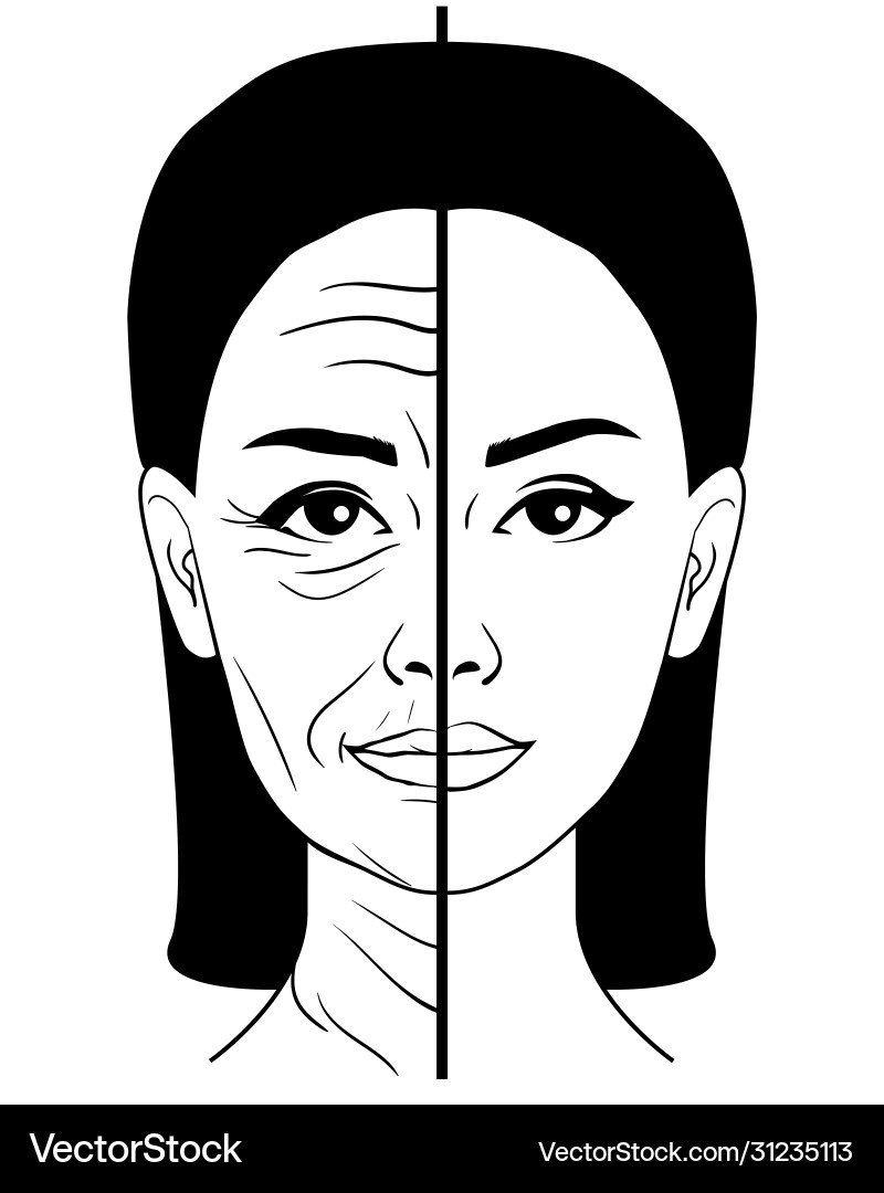 Old Woman Face Wrinkles Vector Images (over 600)