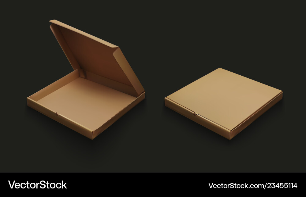 Realistic cardboard empty clear pizza box Vector Image