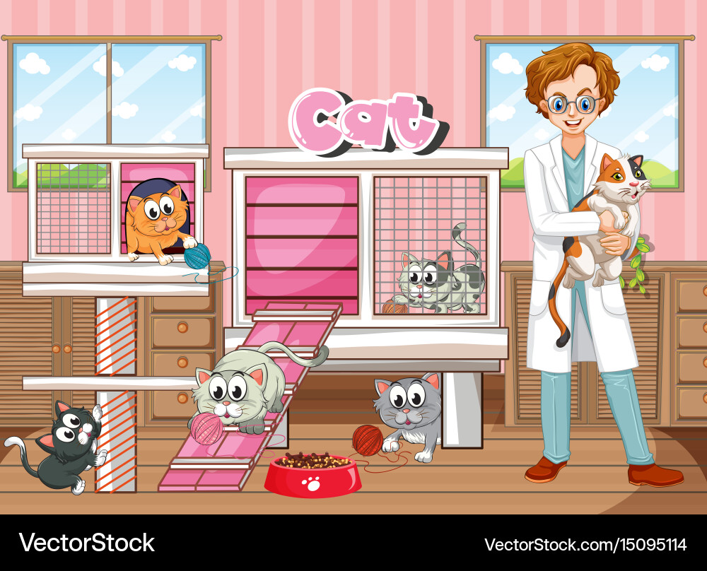 Vet working with cats in clinic Royalty Free Vector Image