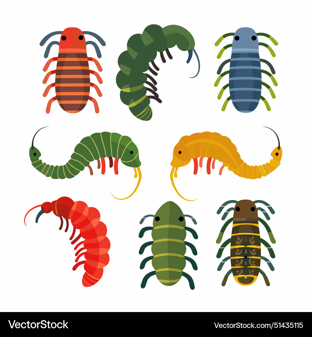 Assorted stylized bugs insects Royalty Free Vector Image