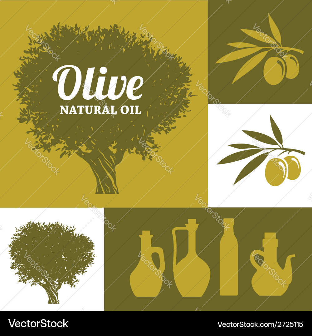 Olive Tree Collection Royalty Free Vector Image