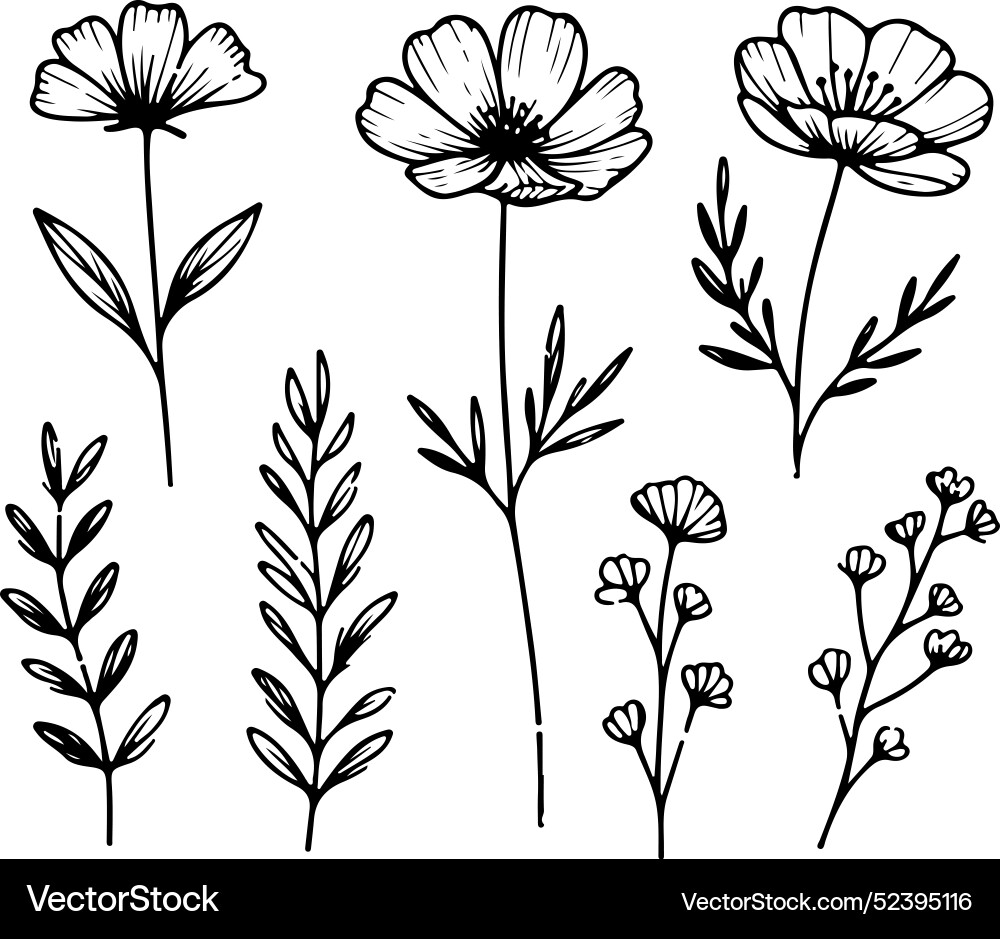 Flower line art Royalty Free Vector Image - VectorStock