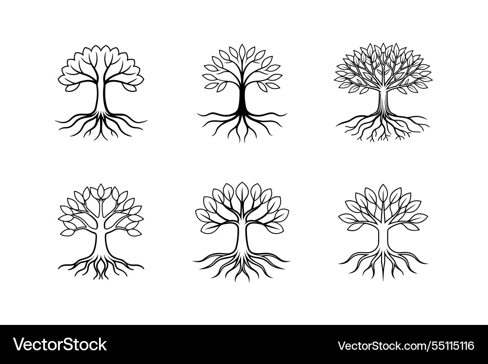 Tree roots line art Royalty Free Vector Image - VectorStock