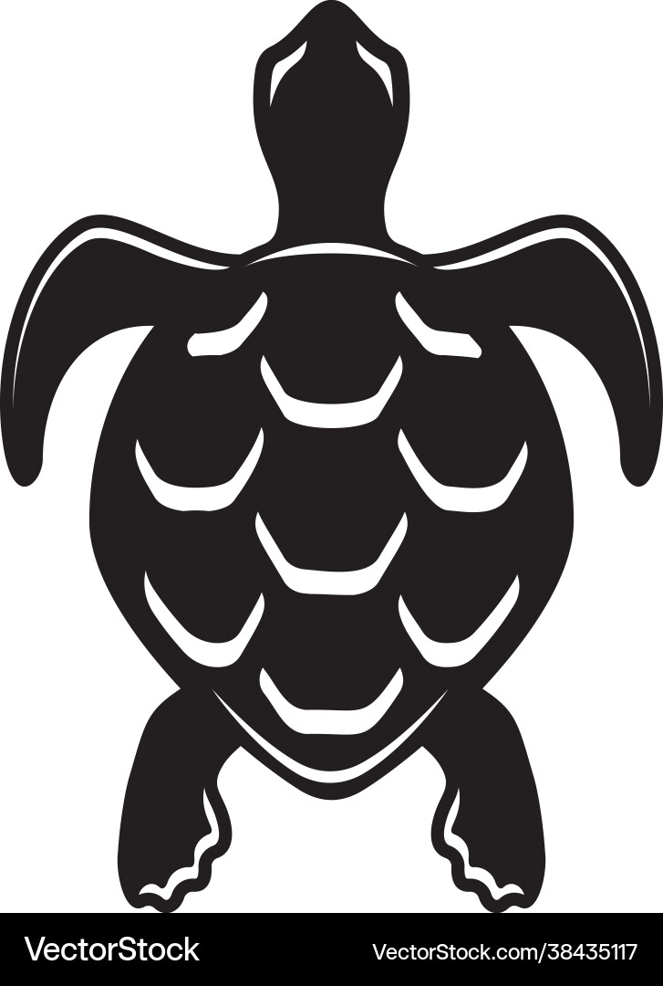 Sea turtle Royalty Free Vector Image - VectorStock