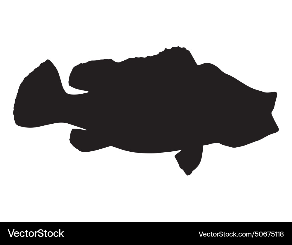 Bass fish silhouette art Royalty Free Vector Image