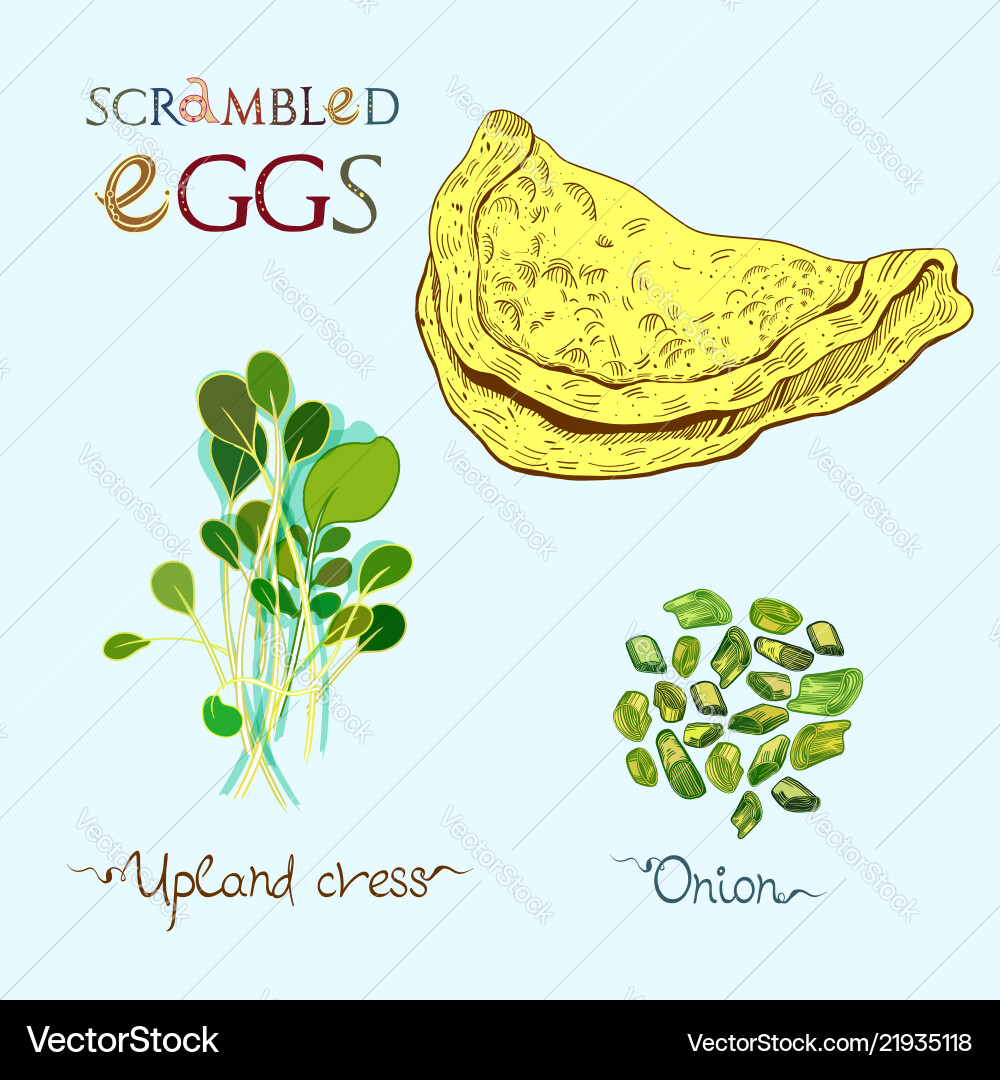 Omelette Royalty Free Vector Image - VectorStock
