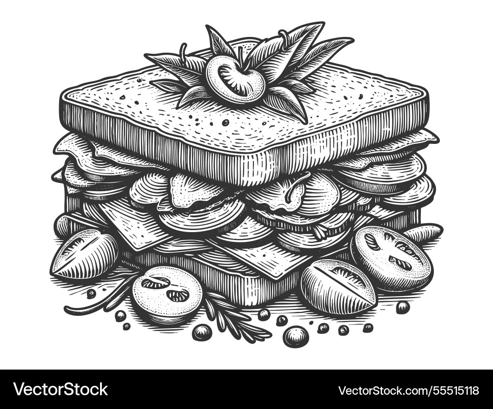 Sandwich Royalty Free Vector Image - VectorStock