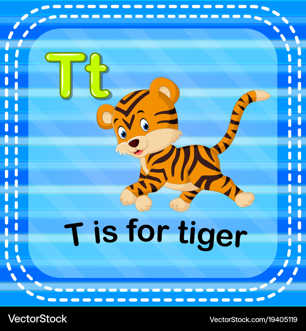 Flashcard letter t is for tiger Royalty Free Vector Image