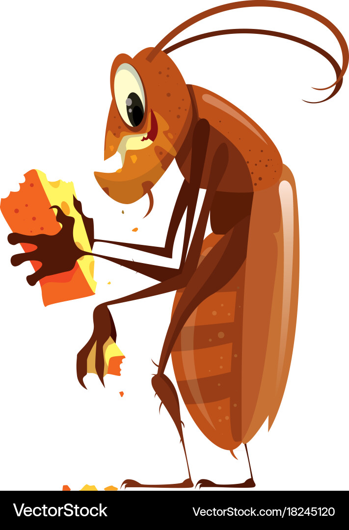 Cartoon Cockroach Eating Cheese Royalty Free Vector Image