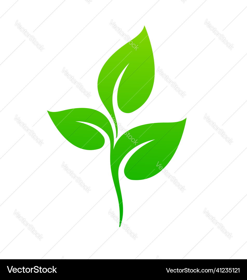 Beautiful lush green plant seedling Royalty Free Vector