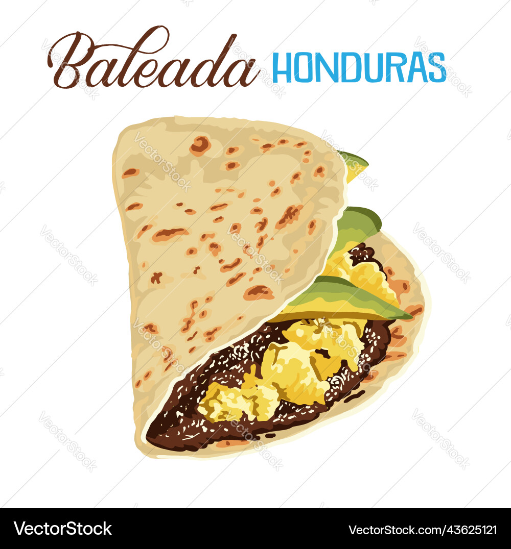 Traditional honduran baleada Royalty Free Vector Image