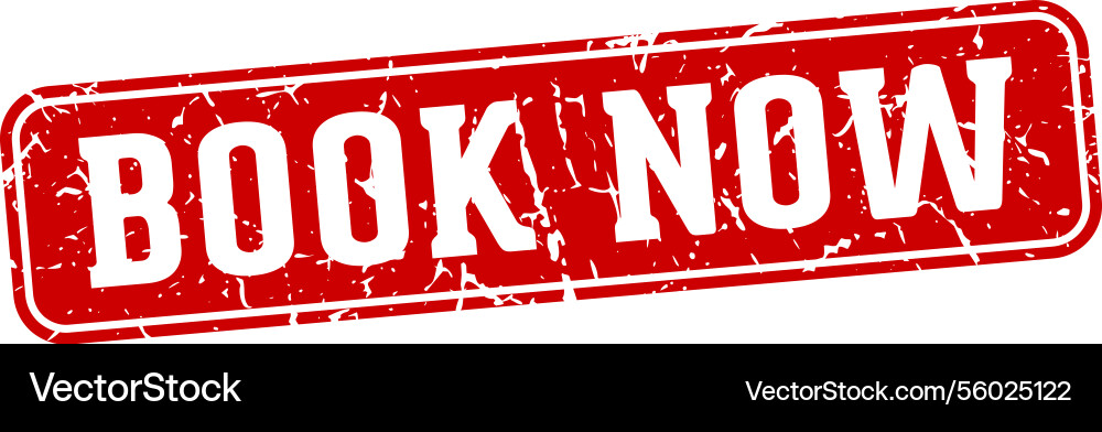 Book now rectangular sign book now stamp Vector Image