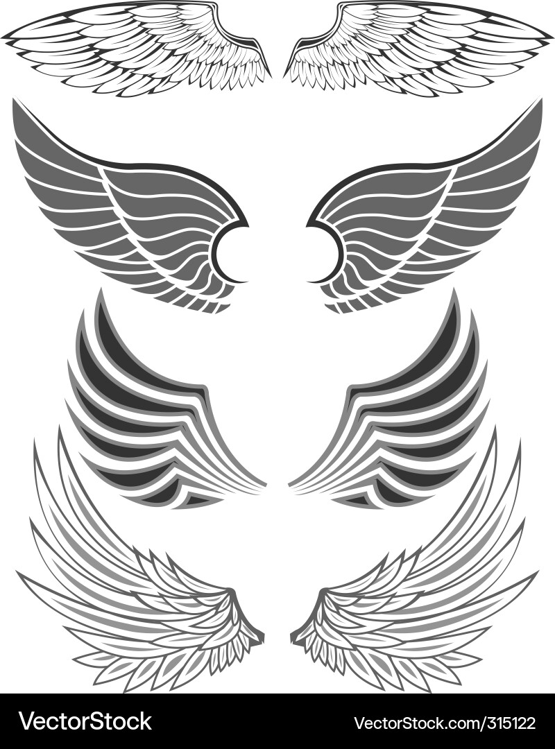 Wing Outline Set Royalty Free Vector Image - VectorStock