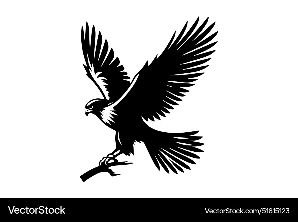 Falcon file 002 Royalty Free Vector Image - VectorStock