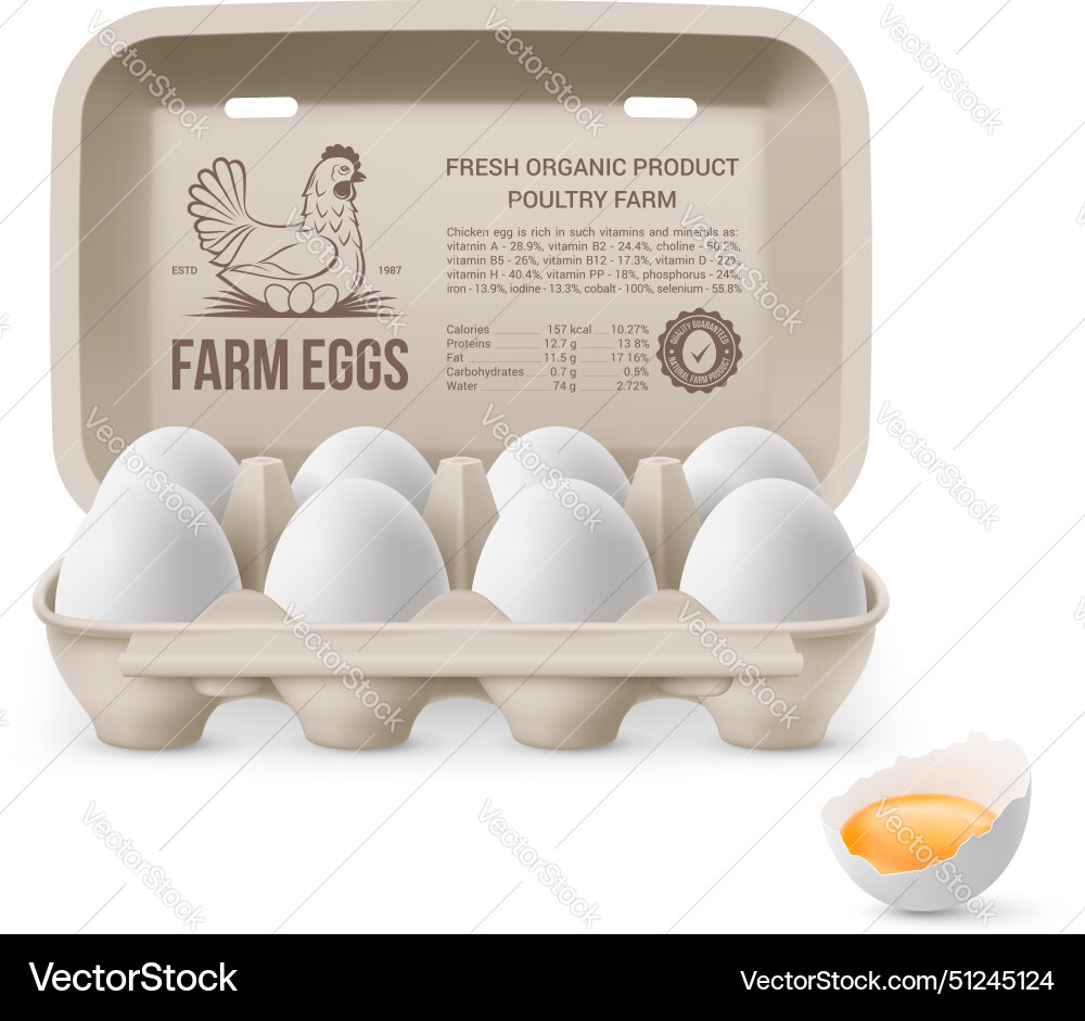 Chicken eggs Royalty Free Vector Image - VectorStock