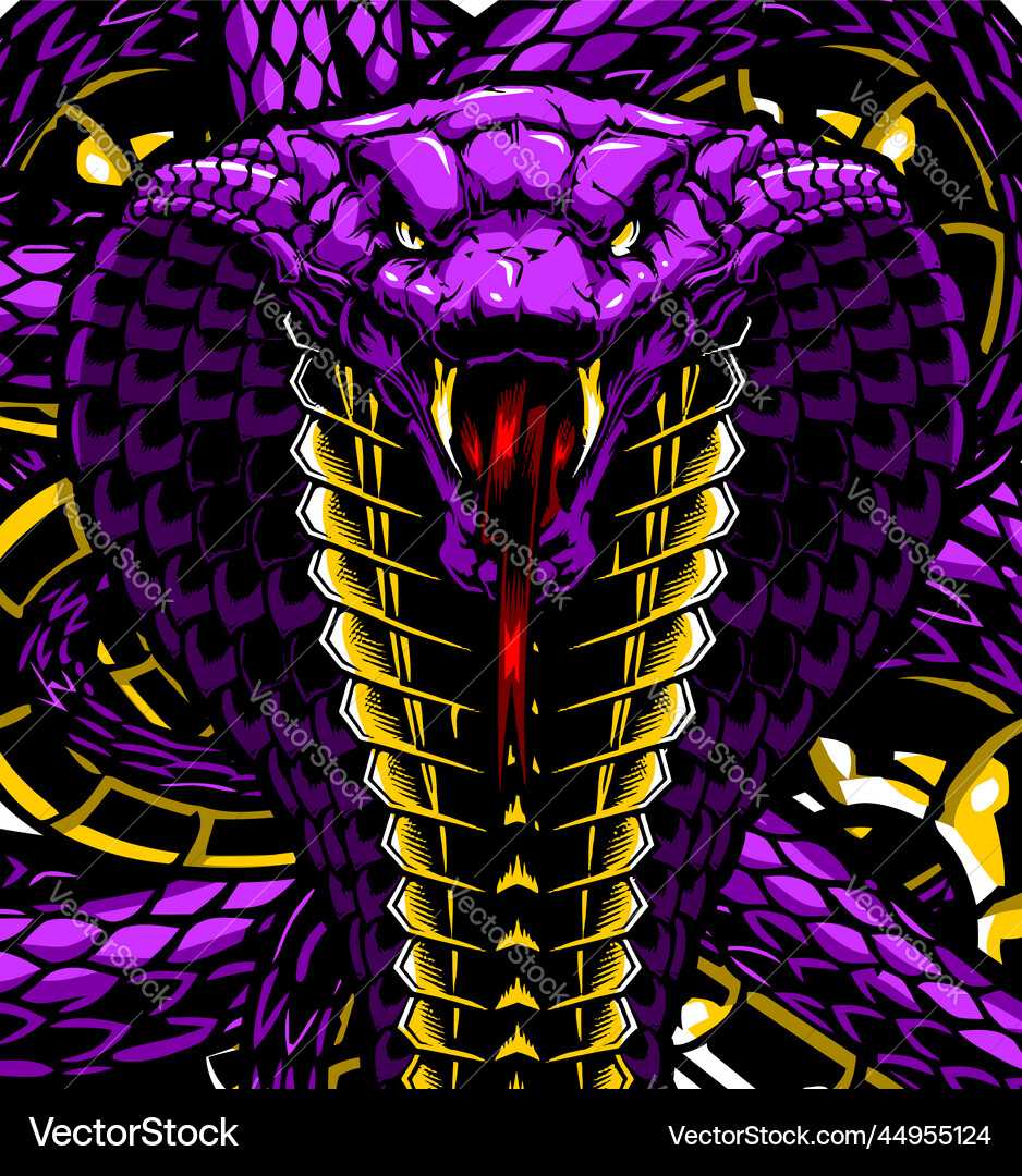Green king cobra snake coiled on black background Vector Image