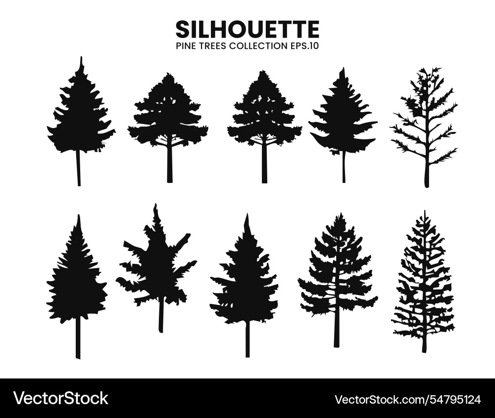 Silhouette pine trees collection Royalty Free Vector Image