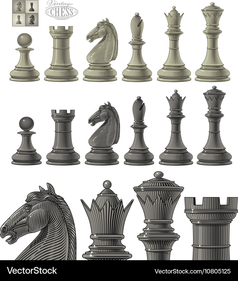 Chess piece set Royalty Free Vector Image - VectorStock