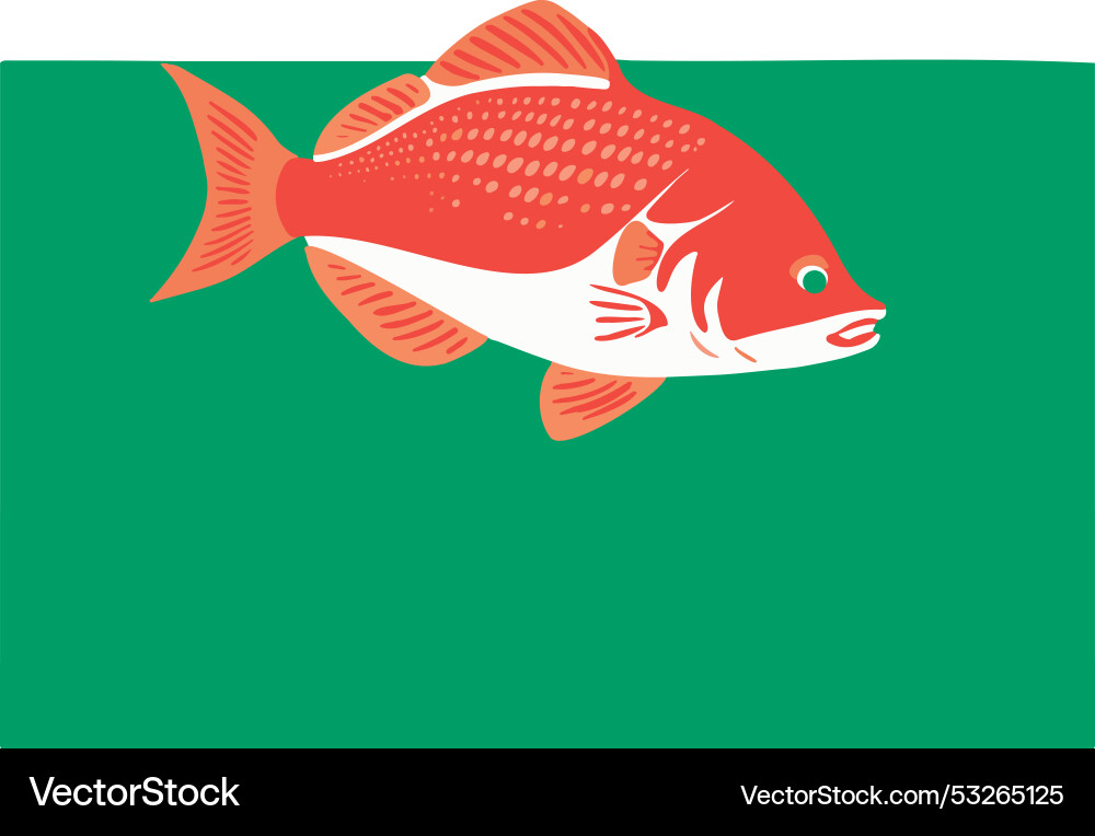 Colored of stylized fish Royalty Free Vector Image