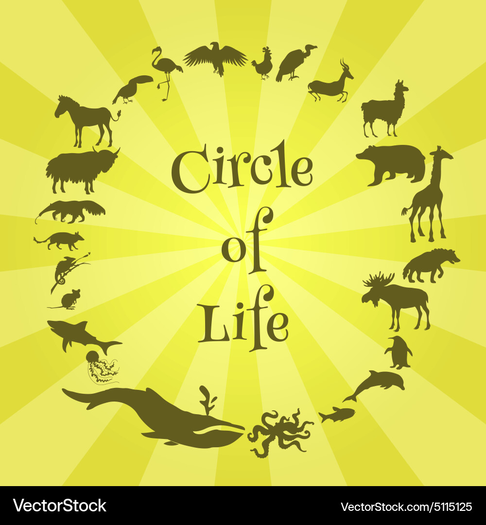 Concept poster animals silhouettes around Vector Image