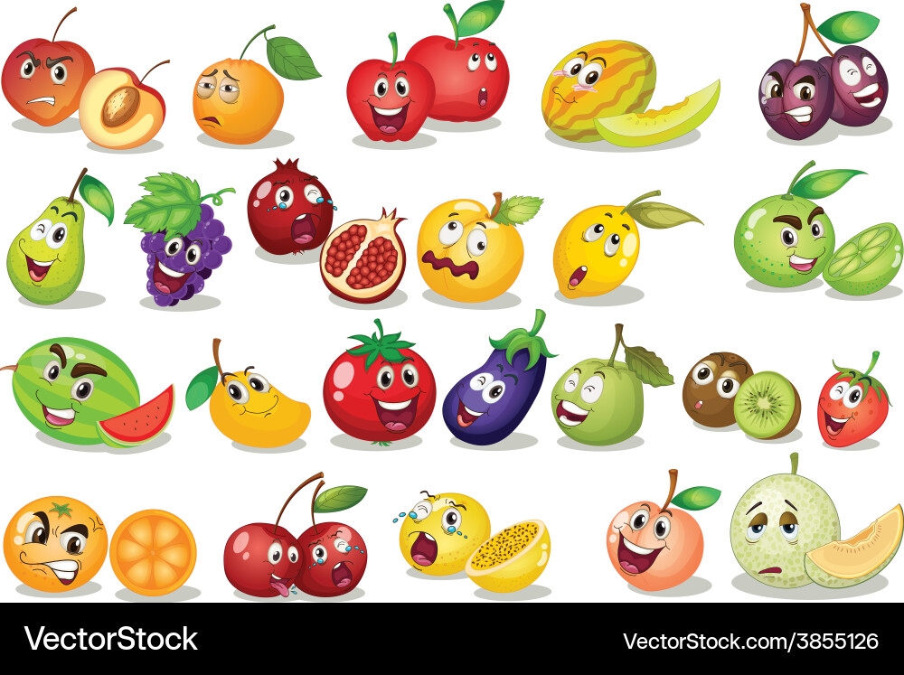 Fruits Royalty Free Vector Image - VectorStock