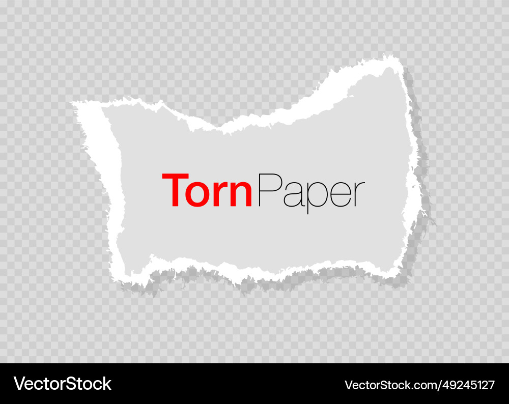 Ripped paper strip torn with edges Royalty Free Vector Image
