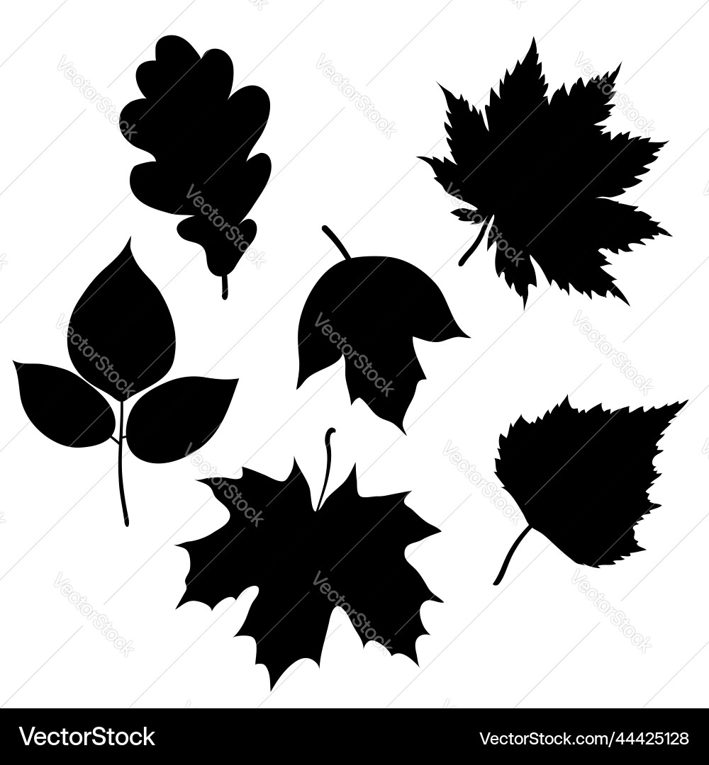 Autumn leaves set isolated on white background Vector Image