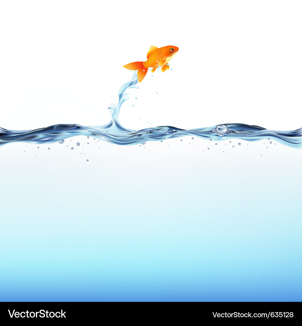 Goldfish Vector Images (over 11,000)