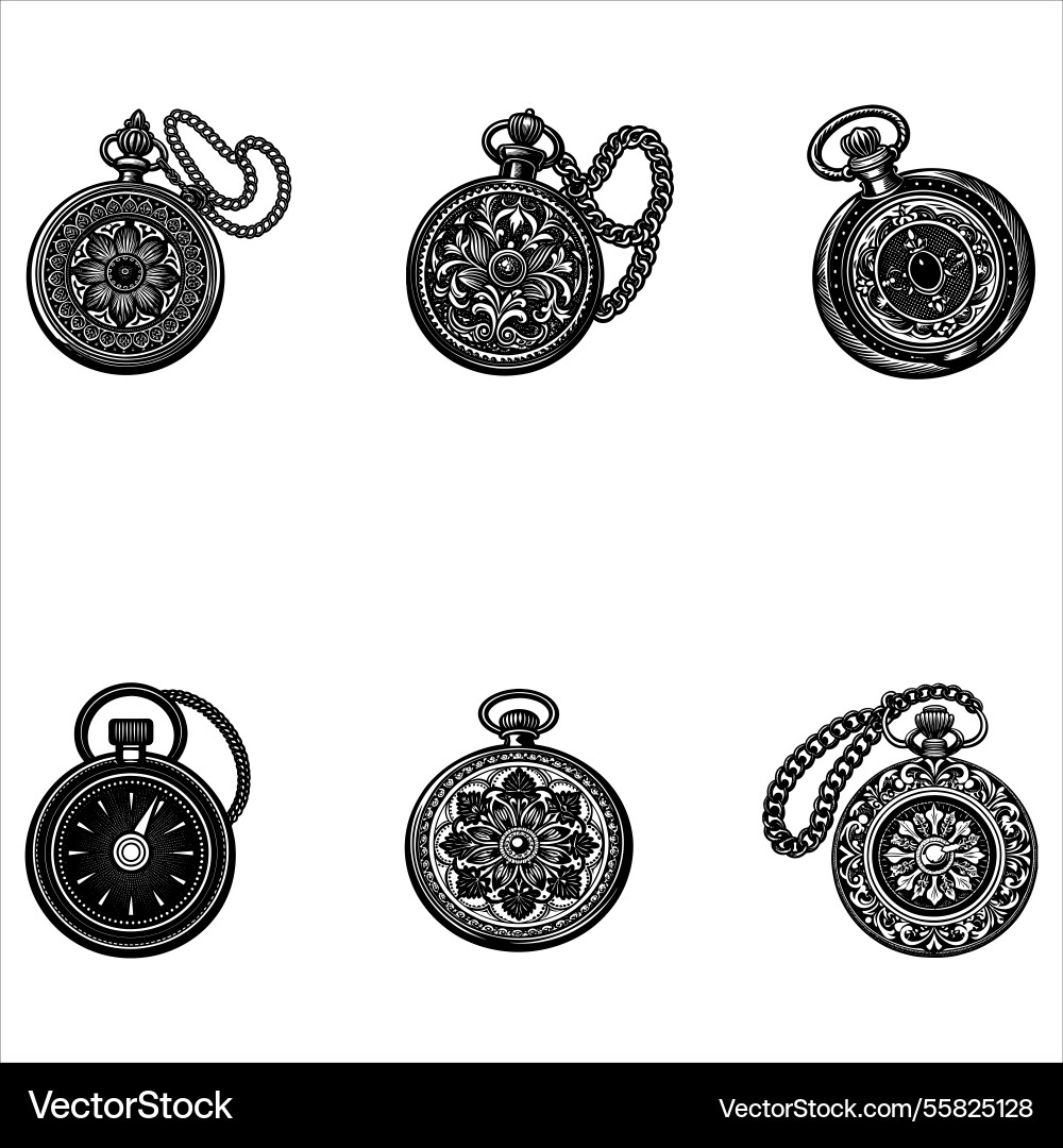 Pocket watch Royalty Free Vector Image - VectorStock