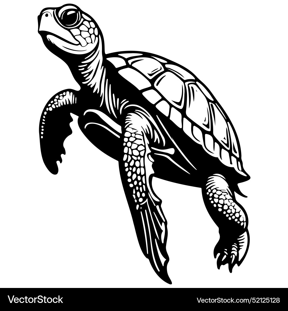 Turtle drawing line head art black realistic Vector Image