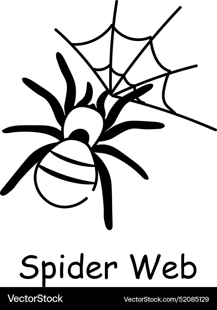 Spider web Royalty Free Vector Image - VectorStock