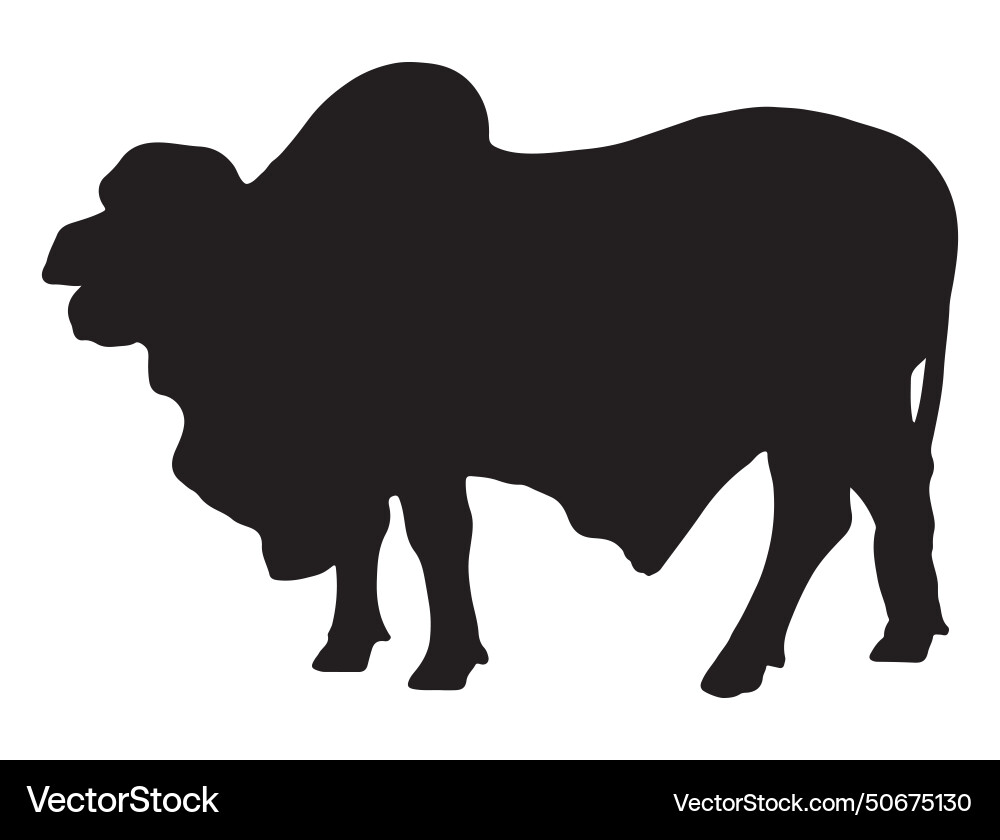 Brahman bull silhouette art Royalty Free Vector Image
