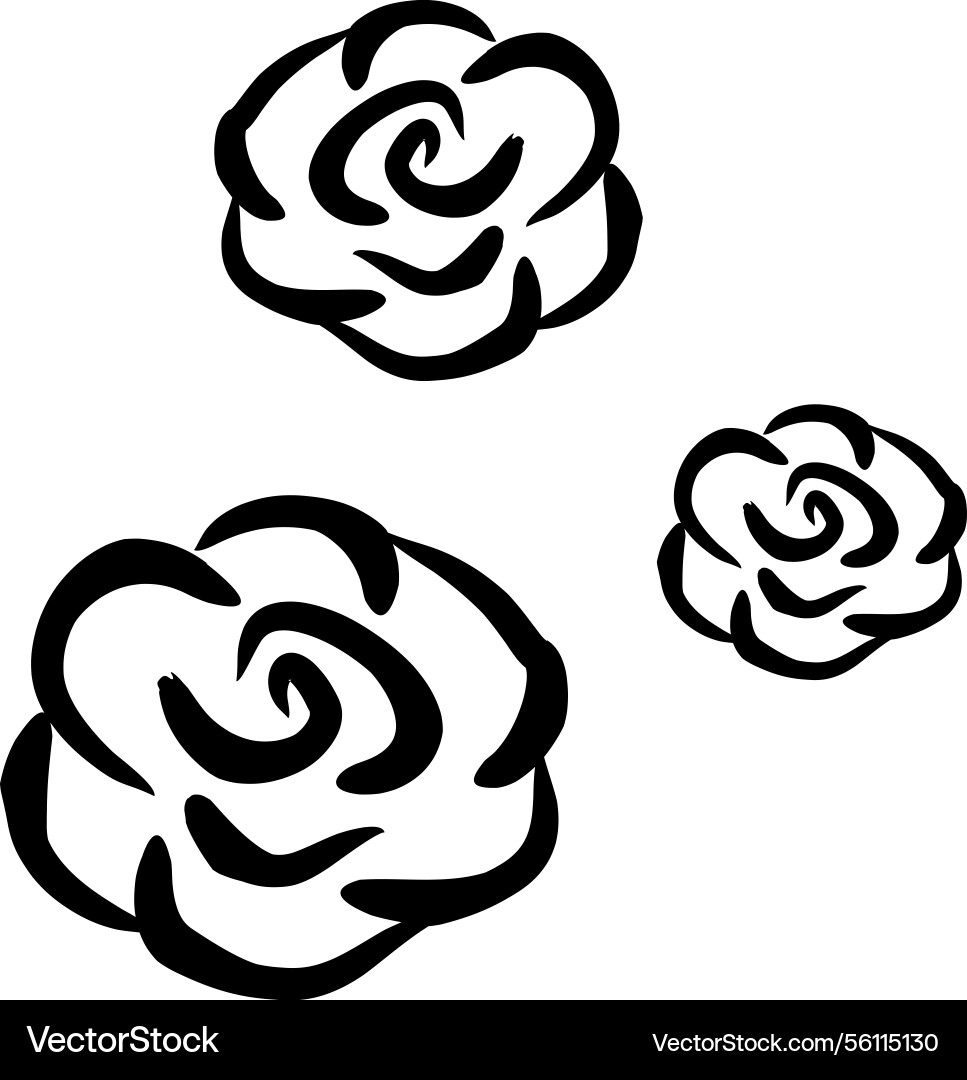 Rose flower line art Royalty Free Vector Image