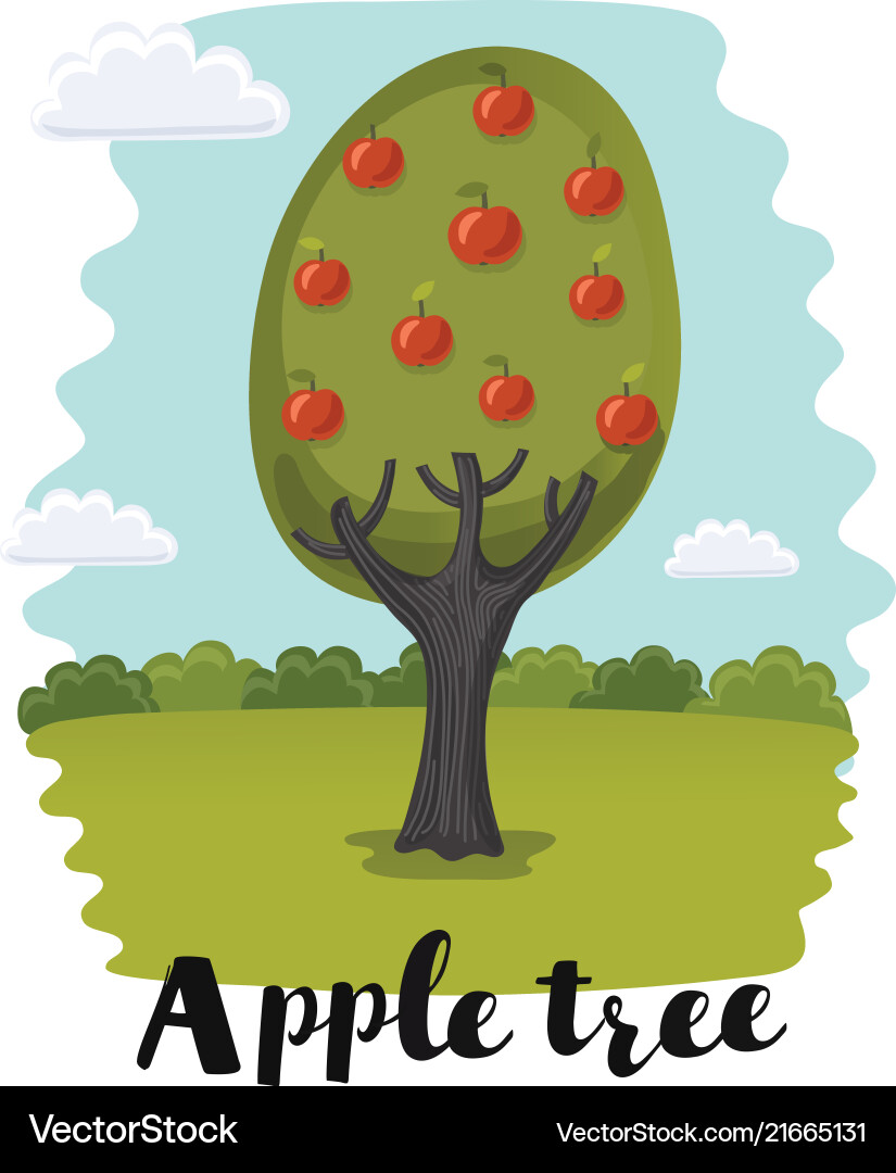 Apple tree Royalty Free Vector Image - VectorStock
