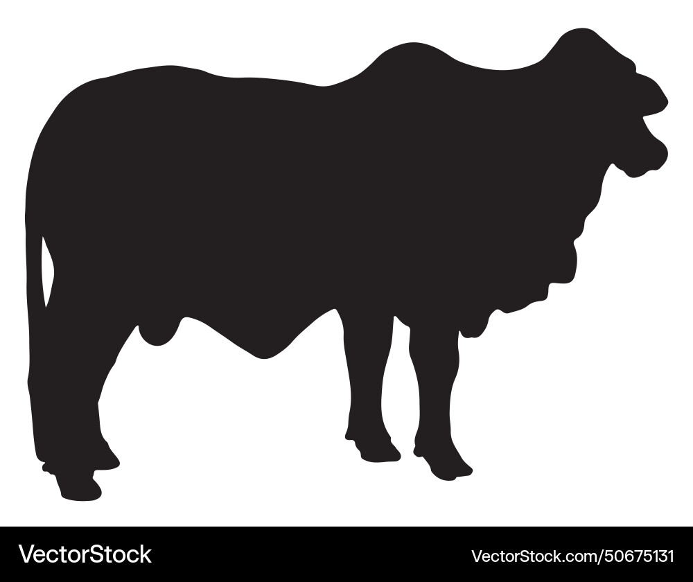Brahman bull silhouette art Royalty Free Vector Image