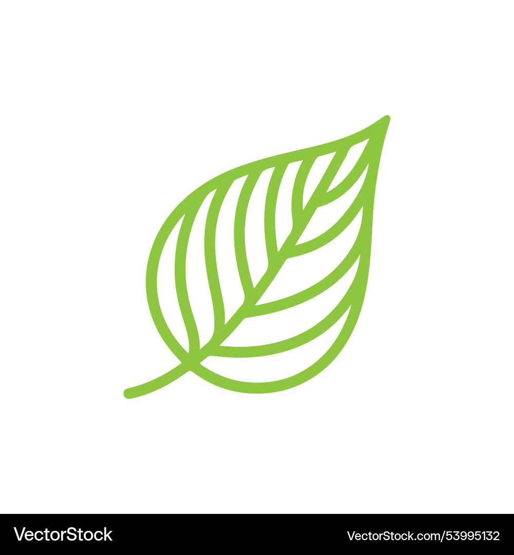 Leaf victor Royalty Free Vector Image - VectorStock