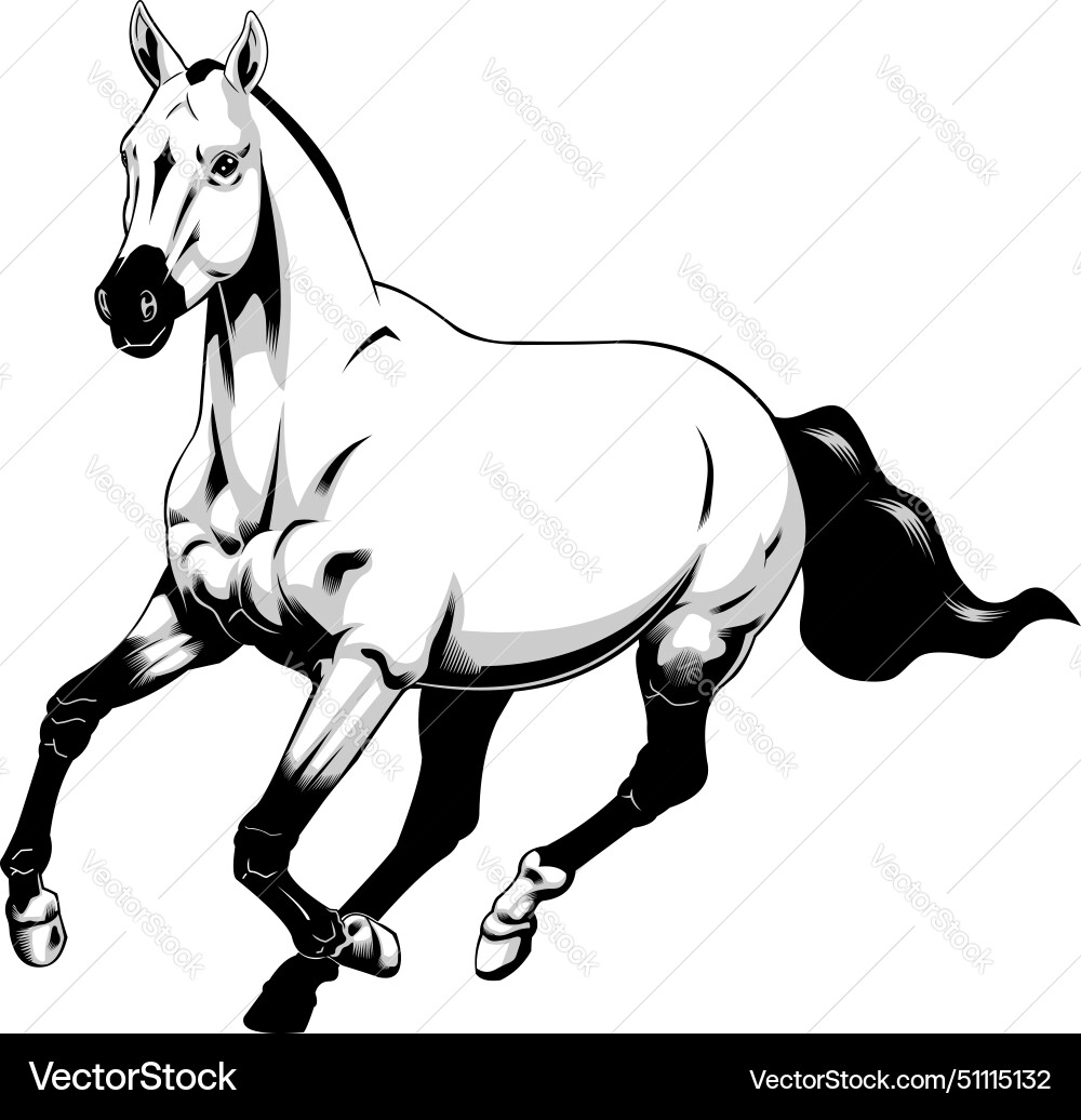 Running horse graphic design Royalty Free Vector Image