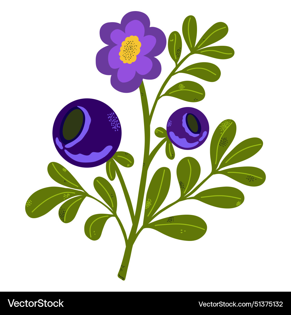 Stylized flat blueberry bush hand drawn cartoon Vector Image