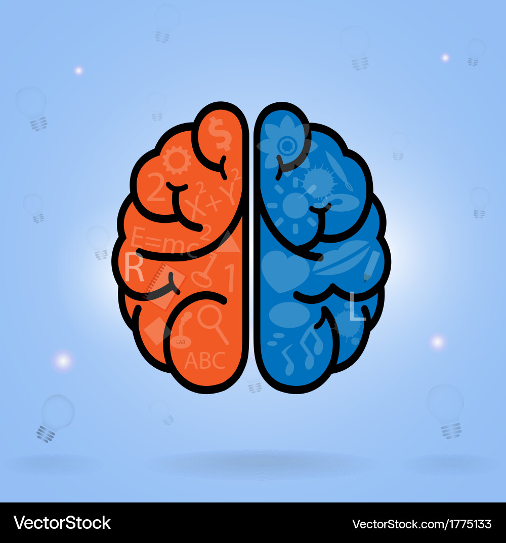 Brain Royalty Free Vector Image - VectorStock